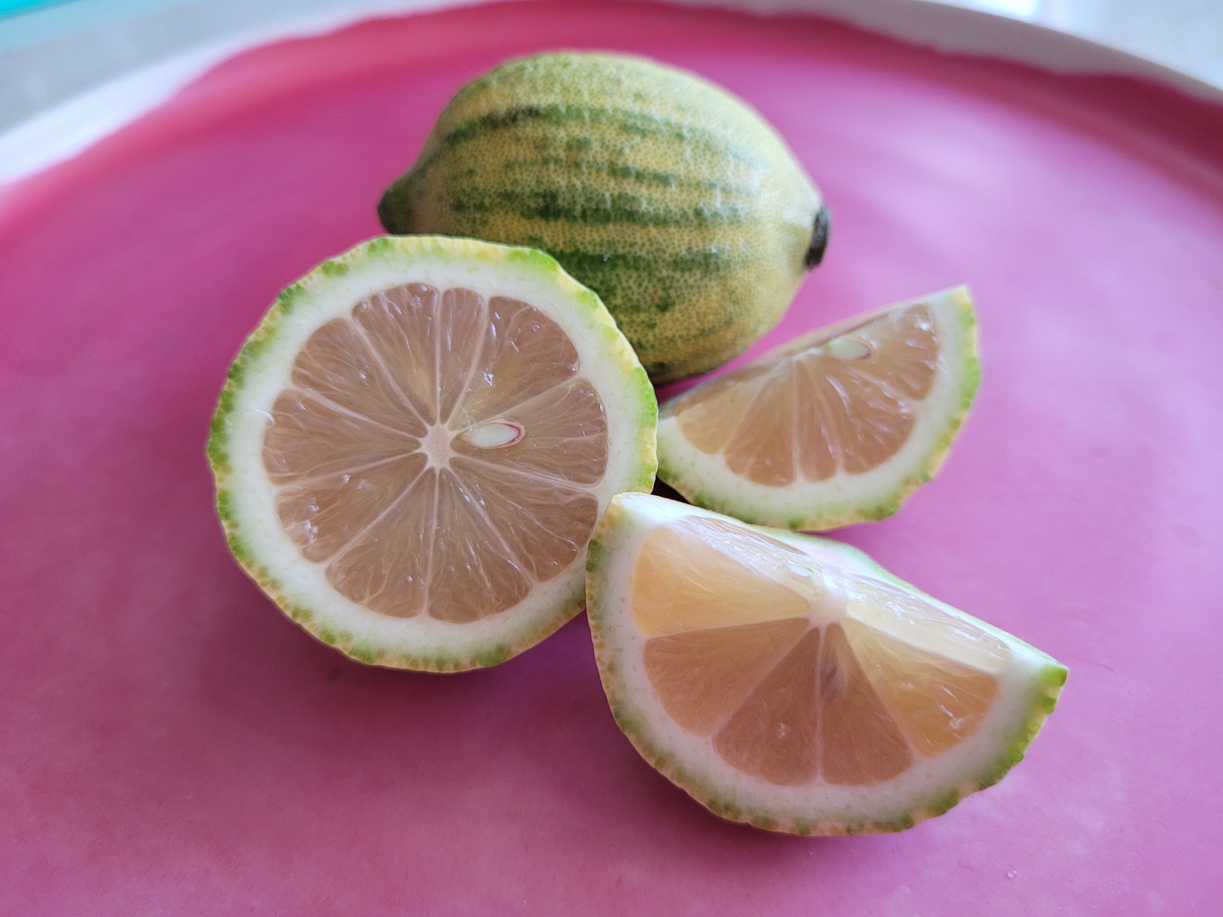 VARIEGATED PINK LEMONS — Earl's Organic Produce