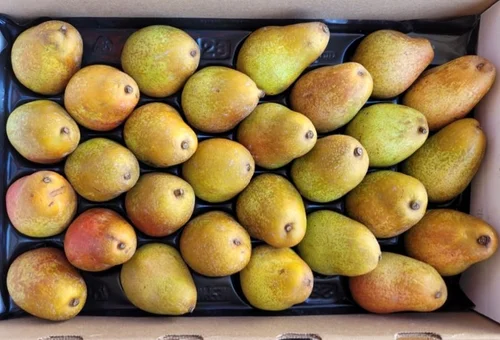 WARREN PEAR — Earl's Organic Produce