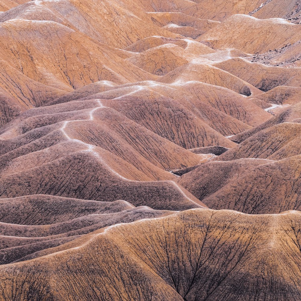 Throw-back to Domelands - 2013 — JWSmithPhotography