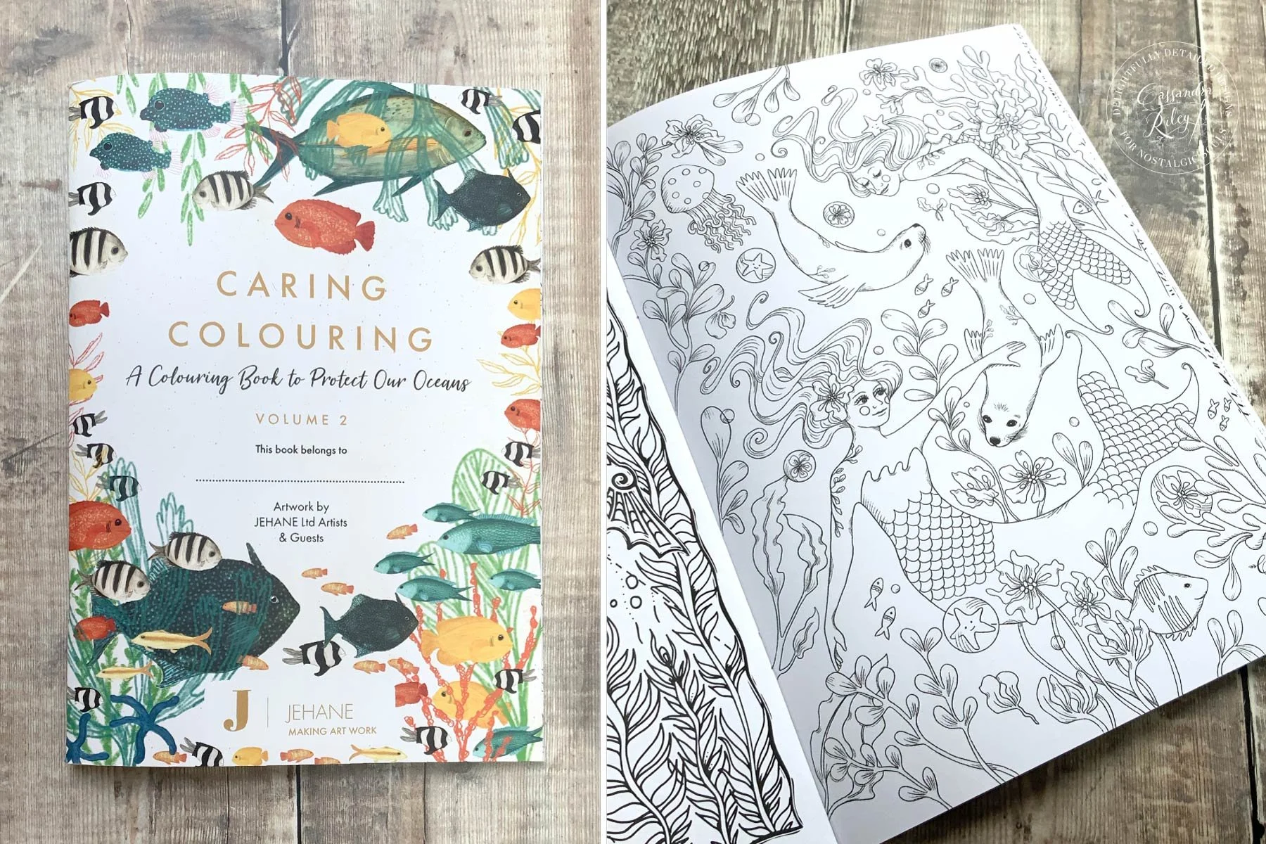 Caring Colouring Two
