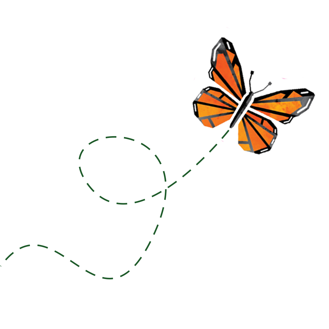 San Antonio Monarch Butterfly & Pollinator Festival — Blooming with Birdie