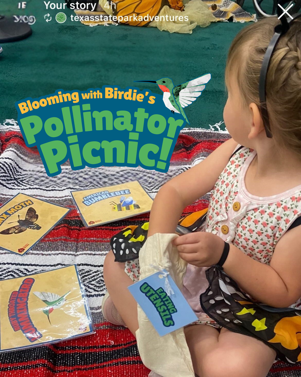 San Antonio Monarch Butterfly & Pollinator Festival — Blooming with Birdie