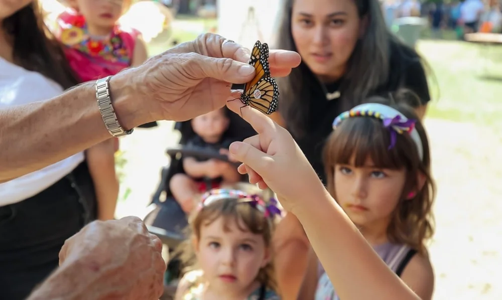 San Antonio Monarch Butterfly & Pollinator Festival — Blooming with Birdie