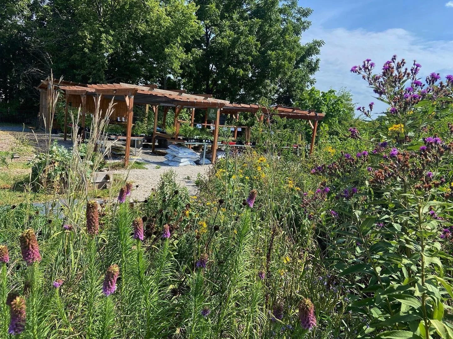 DIY & Resources — City Roots Nursery