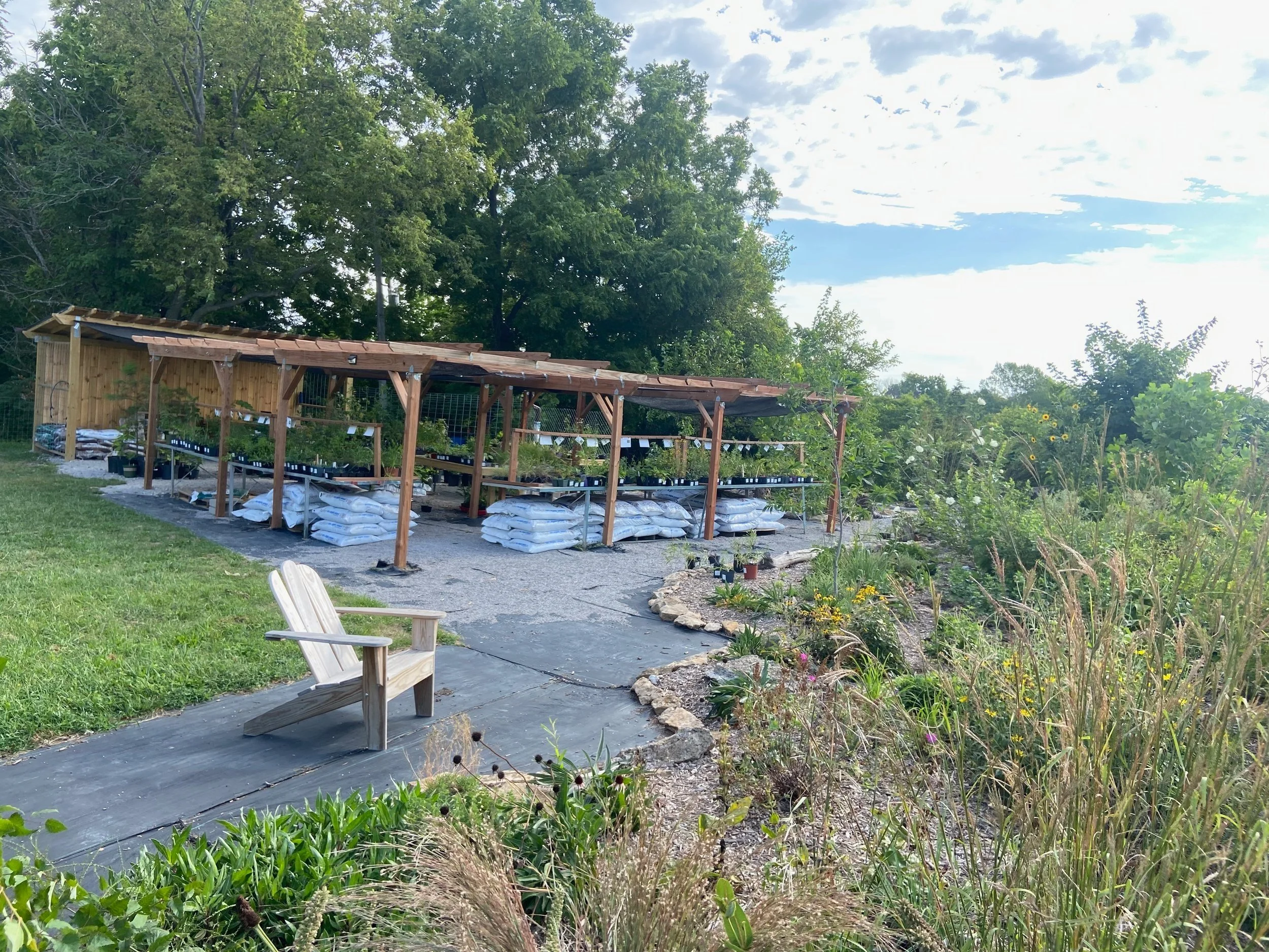 About — City Roots Nursery