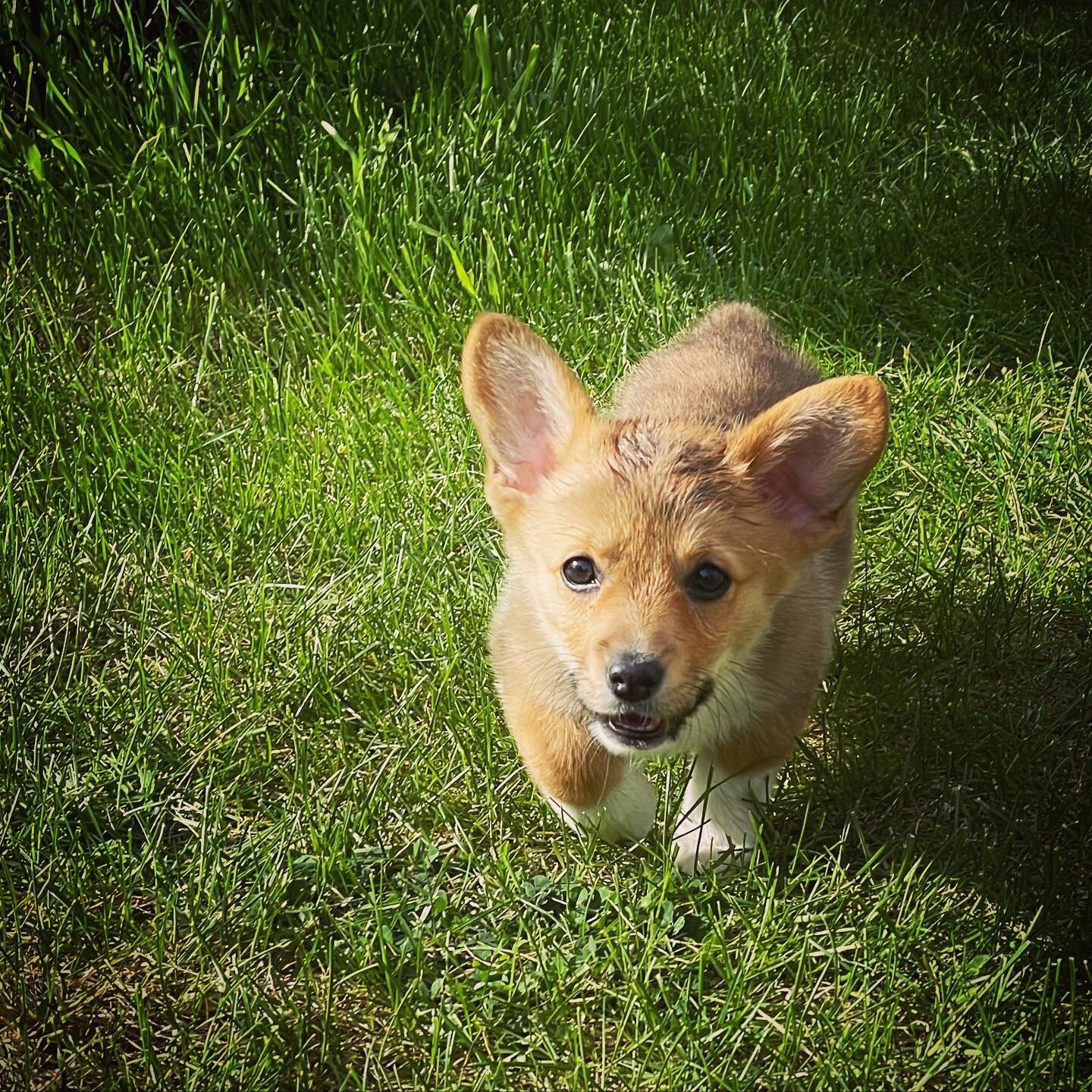 clare edge - fantasy author