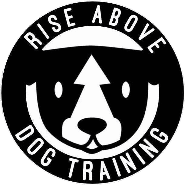 Rise Above Dog Training