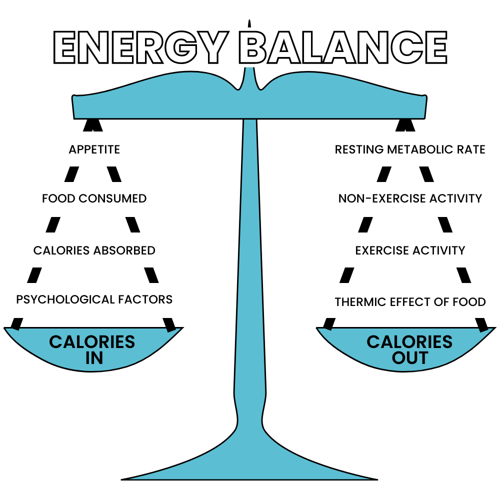 Five Nutrition Fundamentals that You Need to Know — Fit Nic Co.