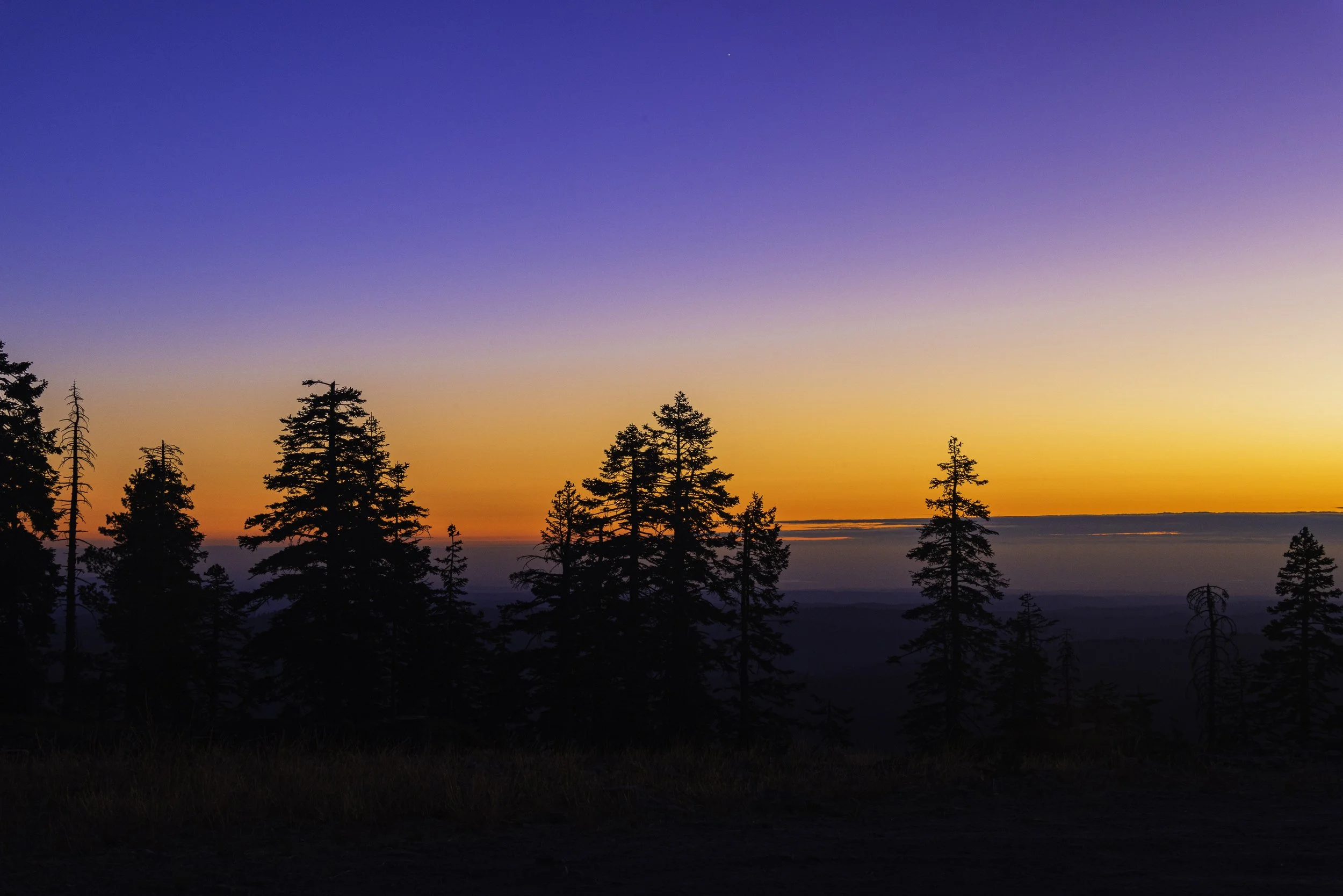 OMA Media Show — Outdoor Market Alliance