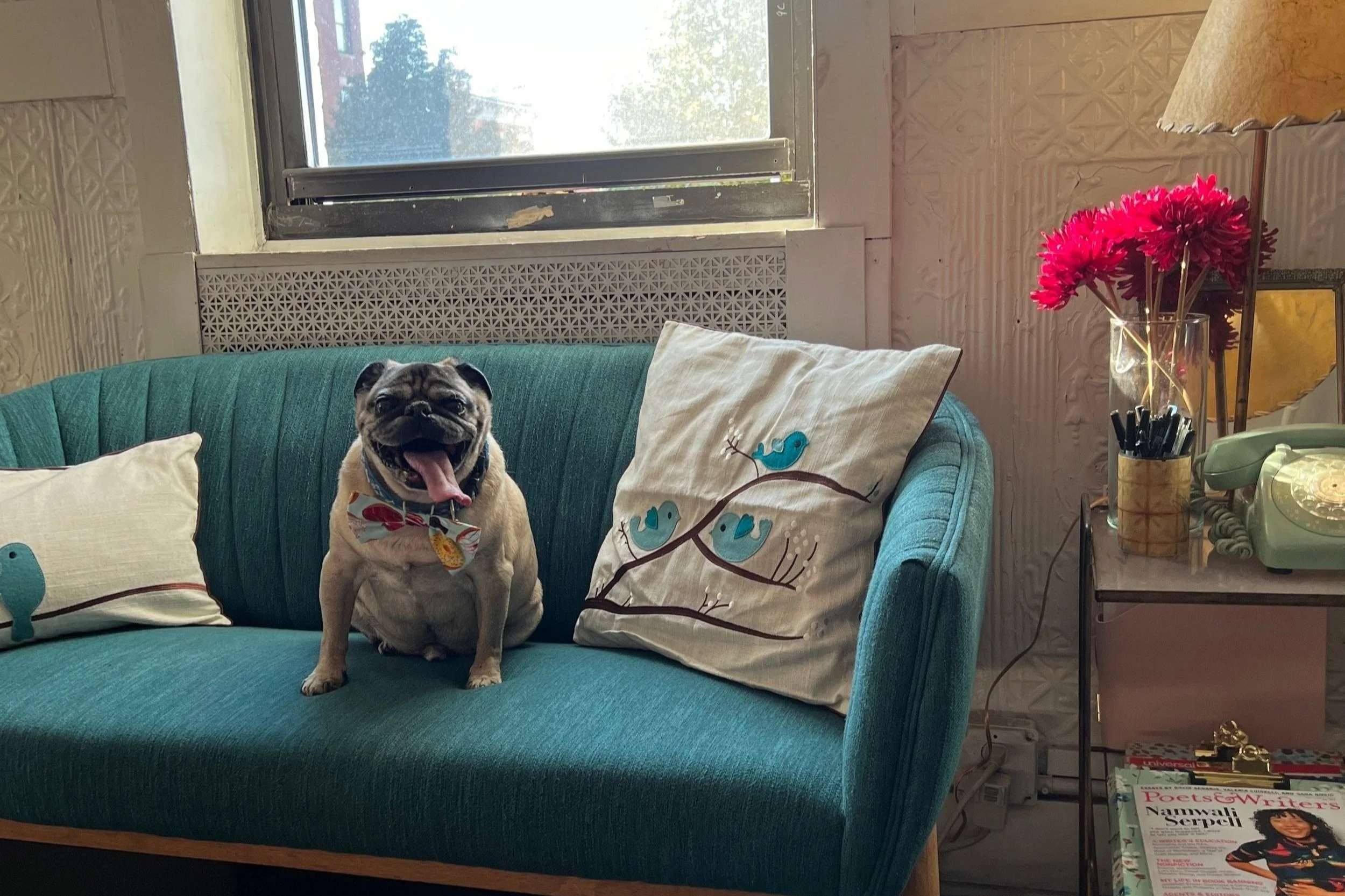 Lost Lit Writing Workshops — Lost Lit Writing Workshops-Brooklyn, NY