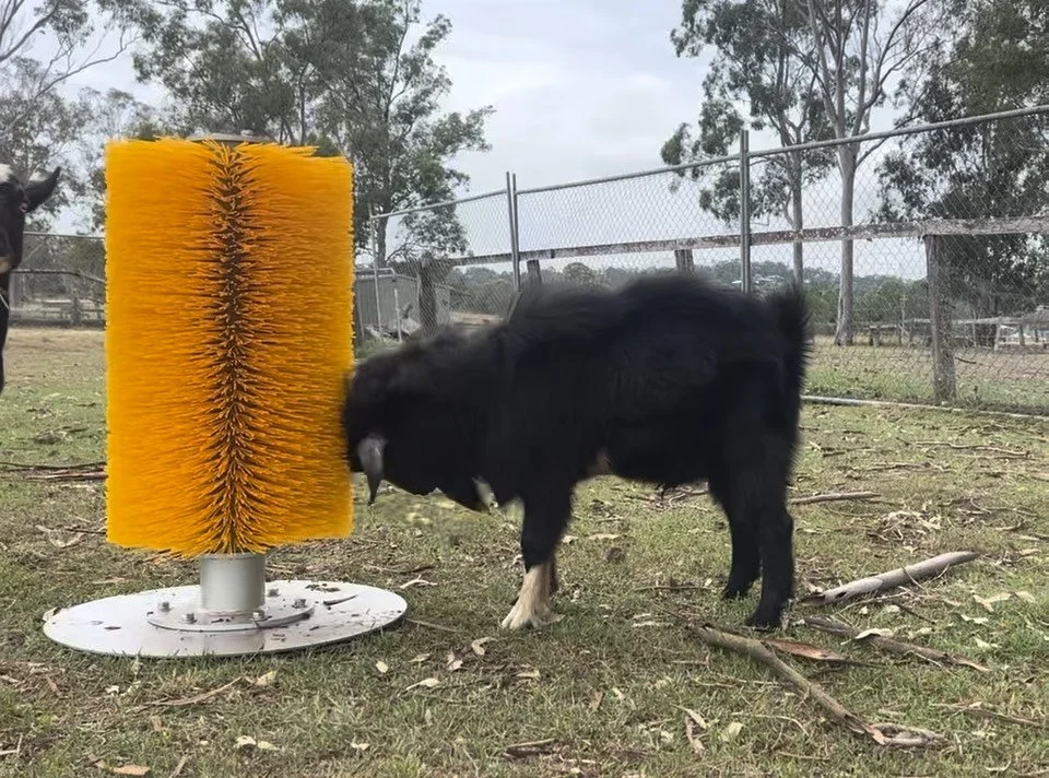 Small Scratching Post Brush — Bow's Barn - Purchase Portable Horse ...