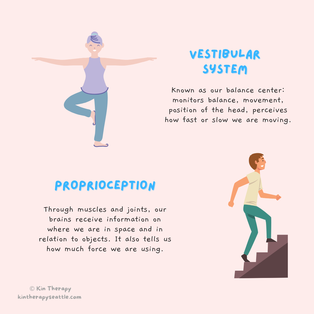 Hidden Senses: Vestibular & Proprioceptive Systems — Kin Therapy