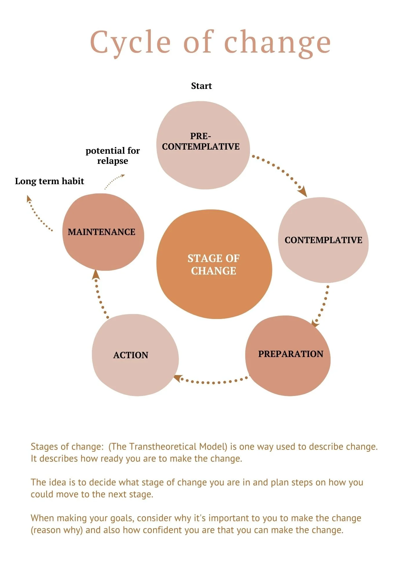 Your Lifestyle Medics — Health made simple