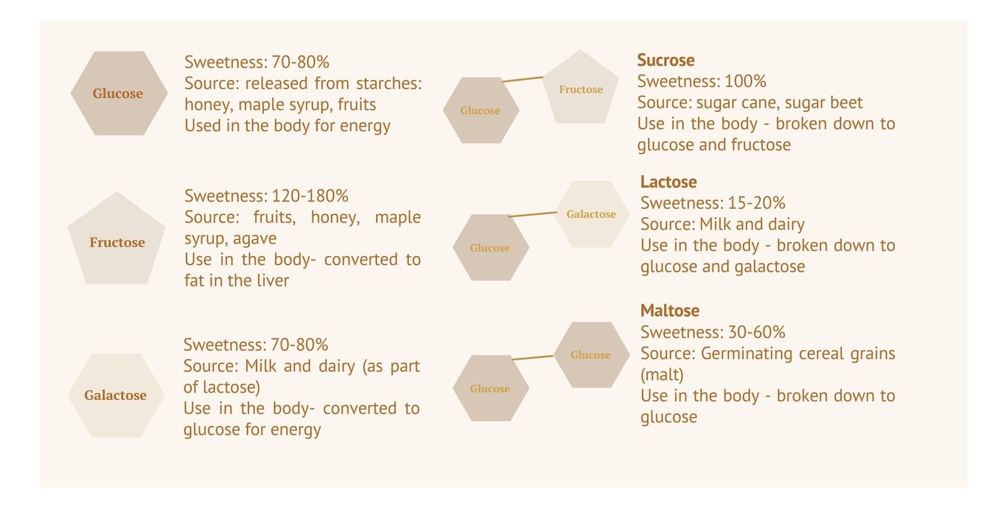 Complex Sugar Molecule