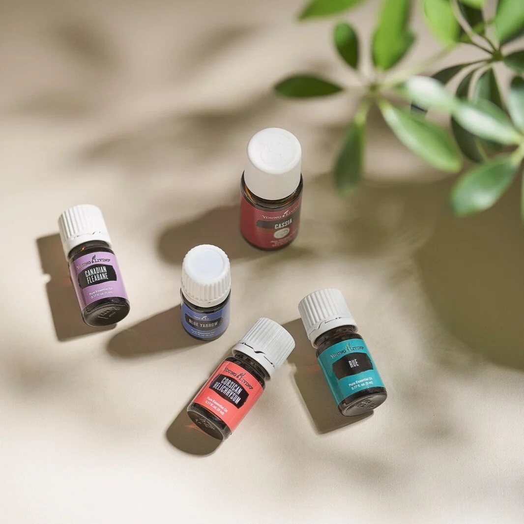 Noble Mercy Cleaning Co