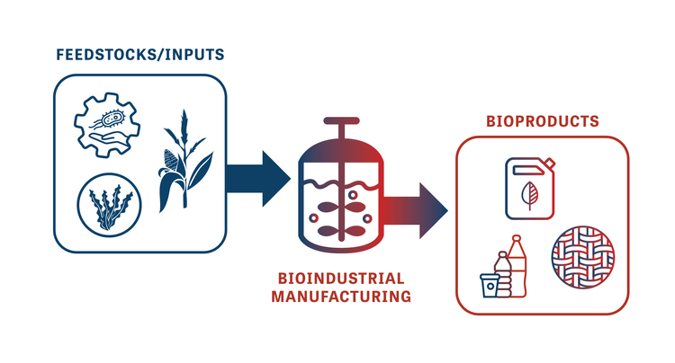 Bioindustrial Manufacturing — BioMADE