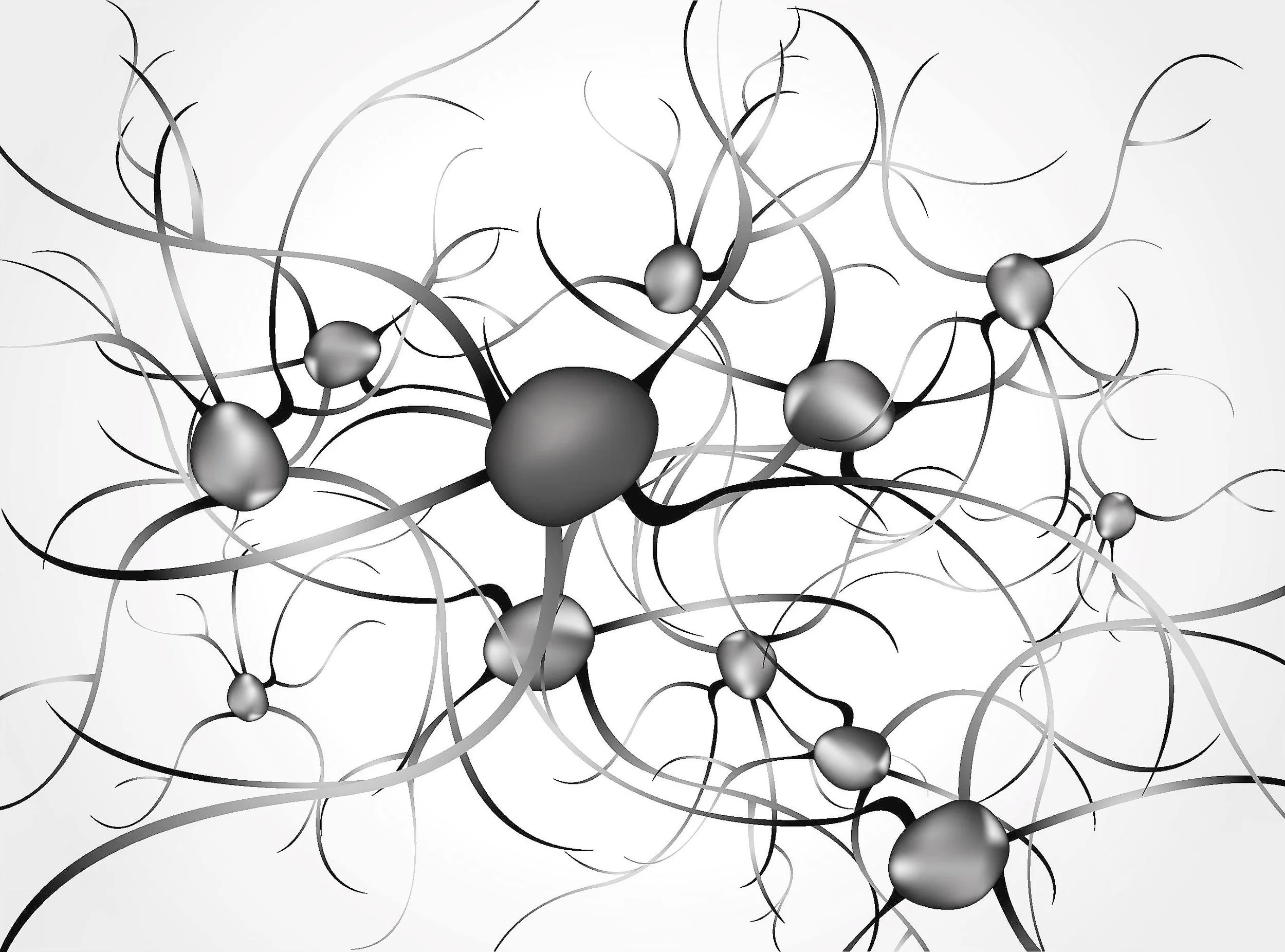 CMFT de betrokken hulpverleners methode