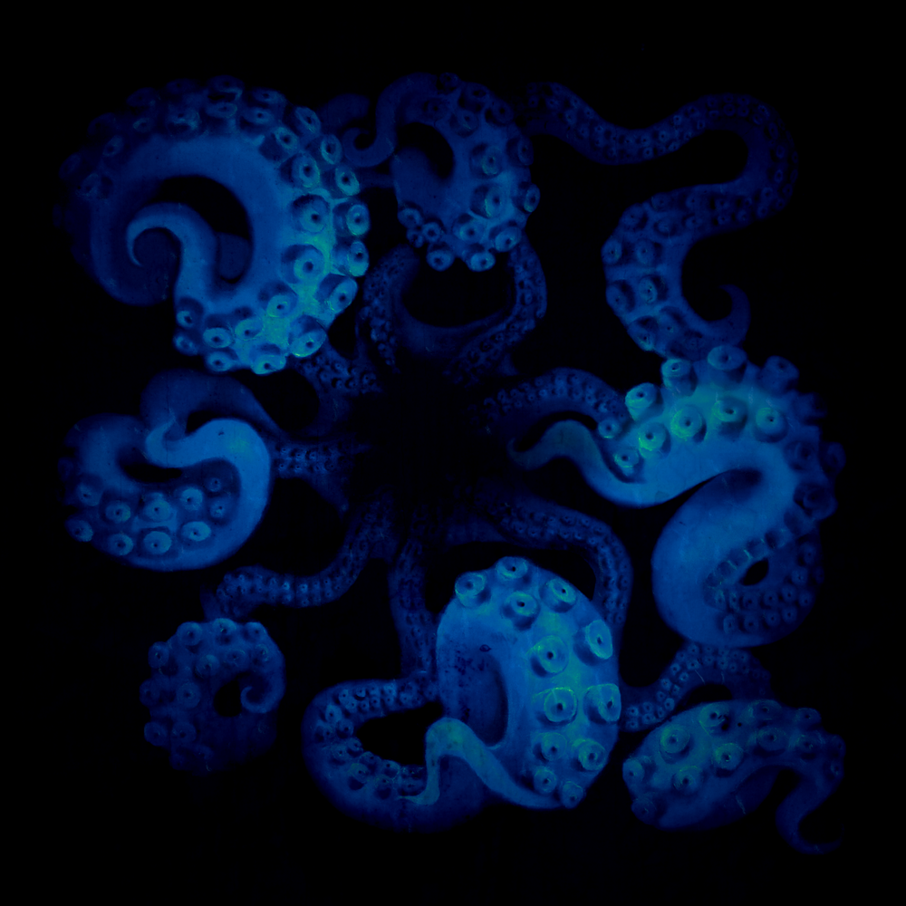 Occlusion occlusion