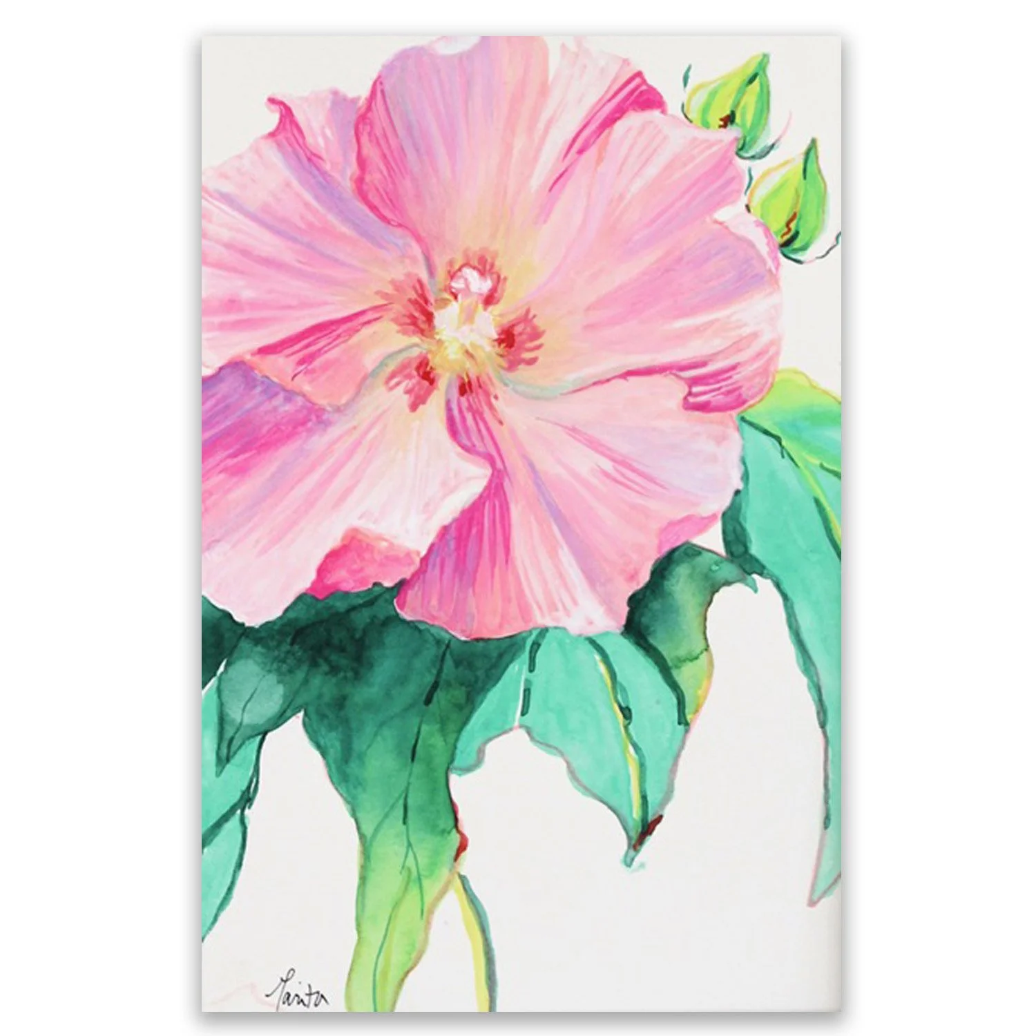 Artist Marita Gentry — Artist Marita Gentry