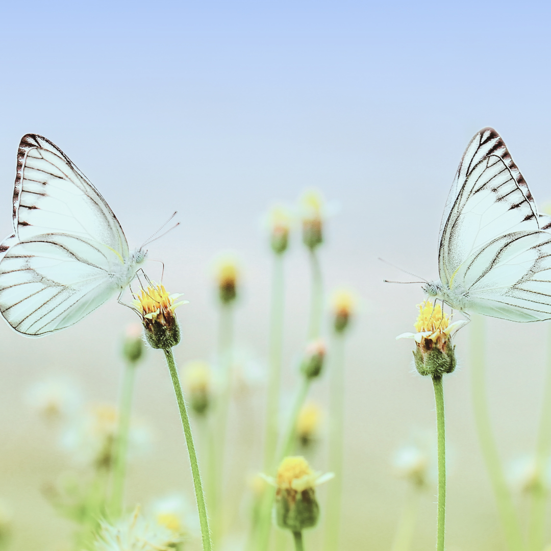 Unhindered Manifesto — Unhindered Ministries