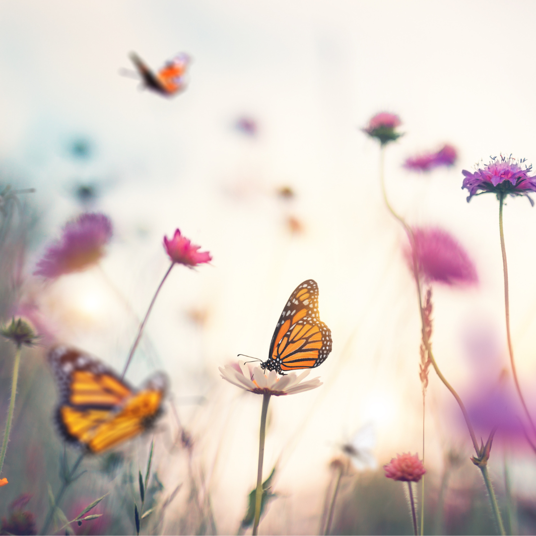 Unhindered Manifesto — Unhindered Ministries