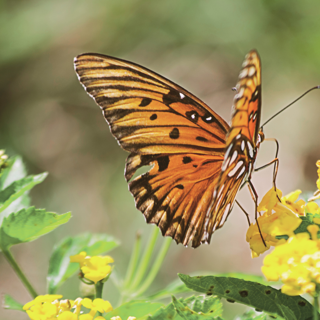 Unhindered Manifesto — Unhindered Ministries