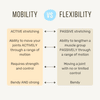 Mobility VS Flexibility — Shoshin Movement Studio