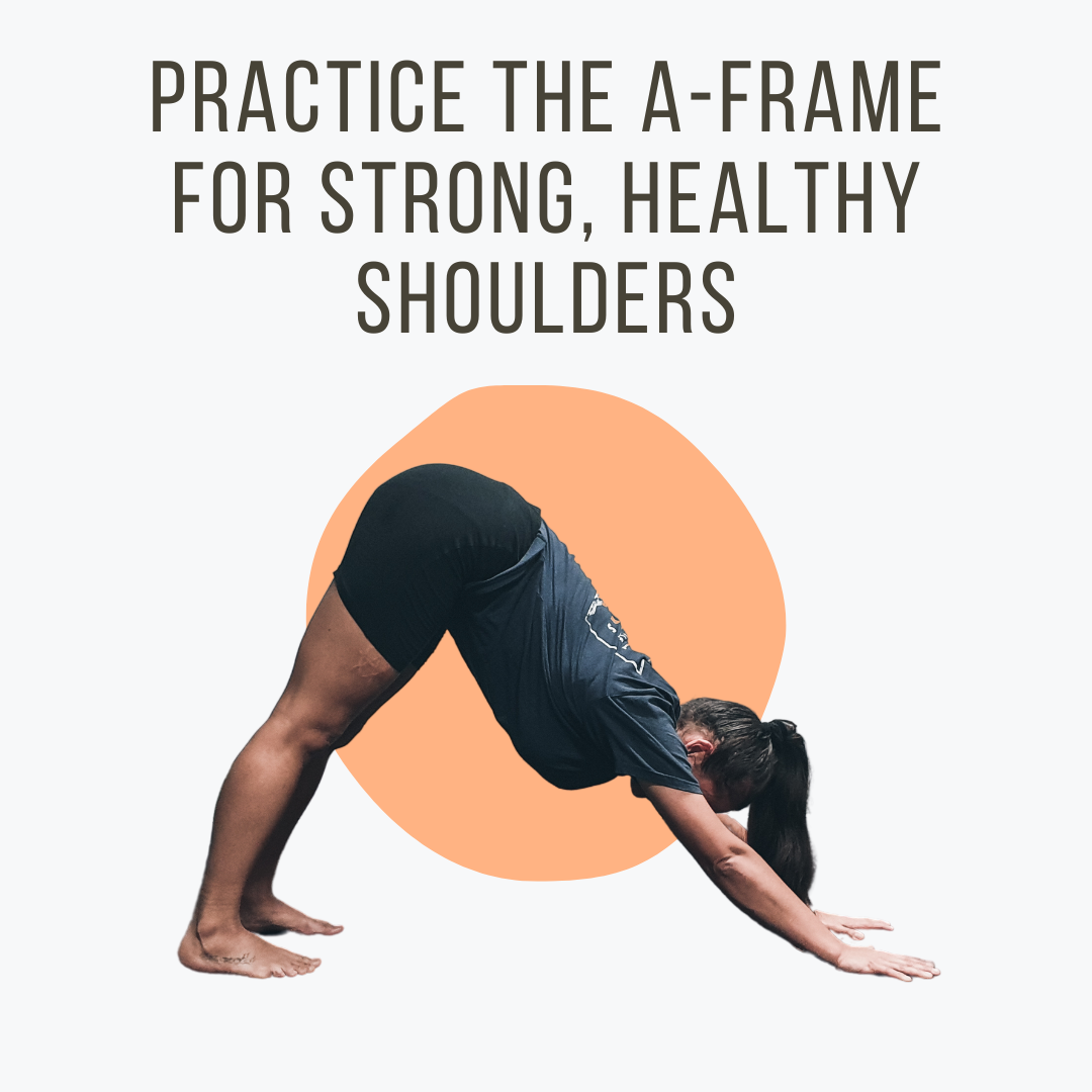 Strong, Healthy Shoulders Part 1: The A-Frame — Shoshin Movement Studio