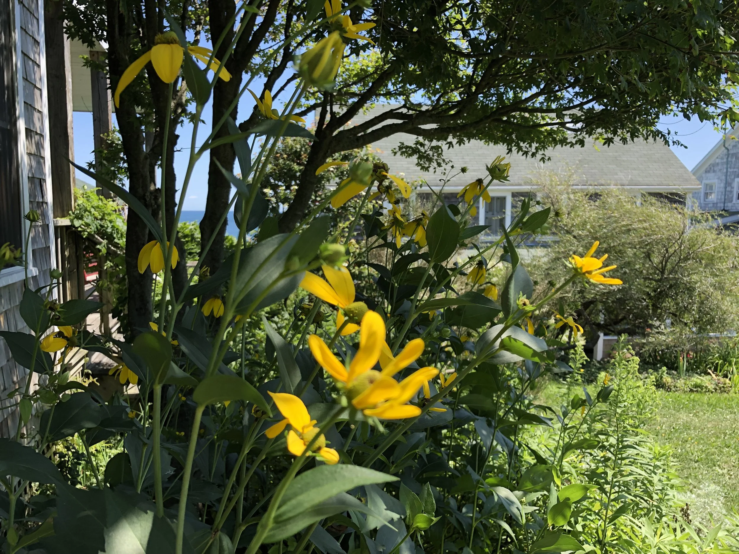 Photo Tour of Seabreeze Block Island — Sea Breeze Block Island