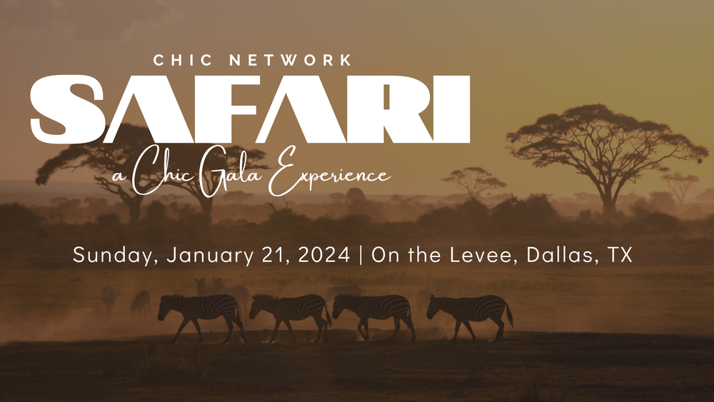 Chic Gala 2024 — The Chic Network