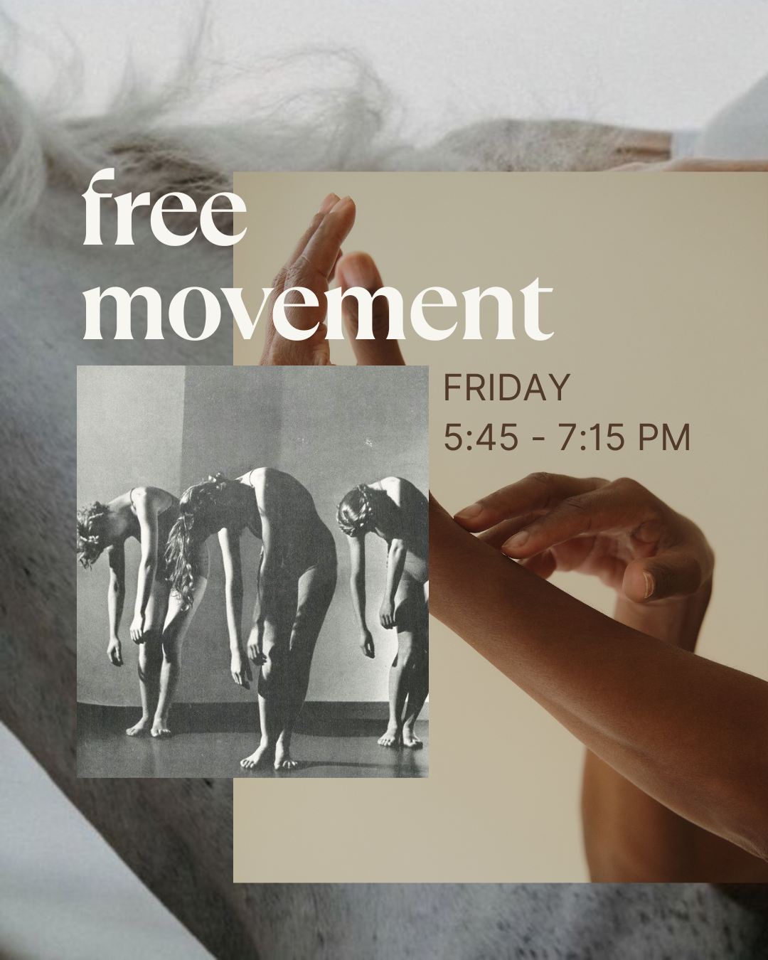 free movement — Chantai Minet Psychology