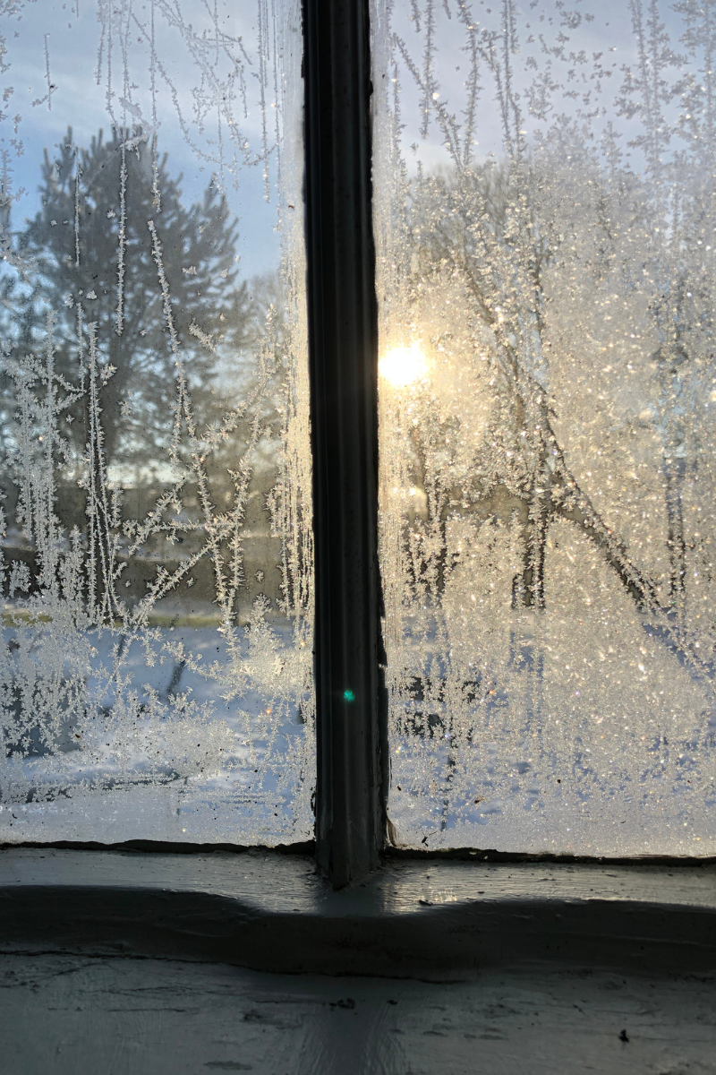 The House starts to grumble — Sarah Morpeth Artist