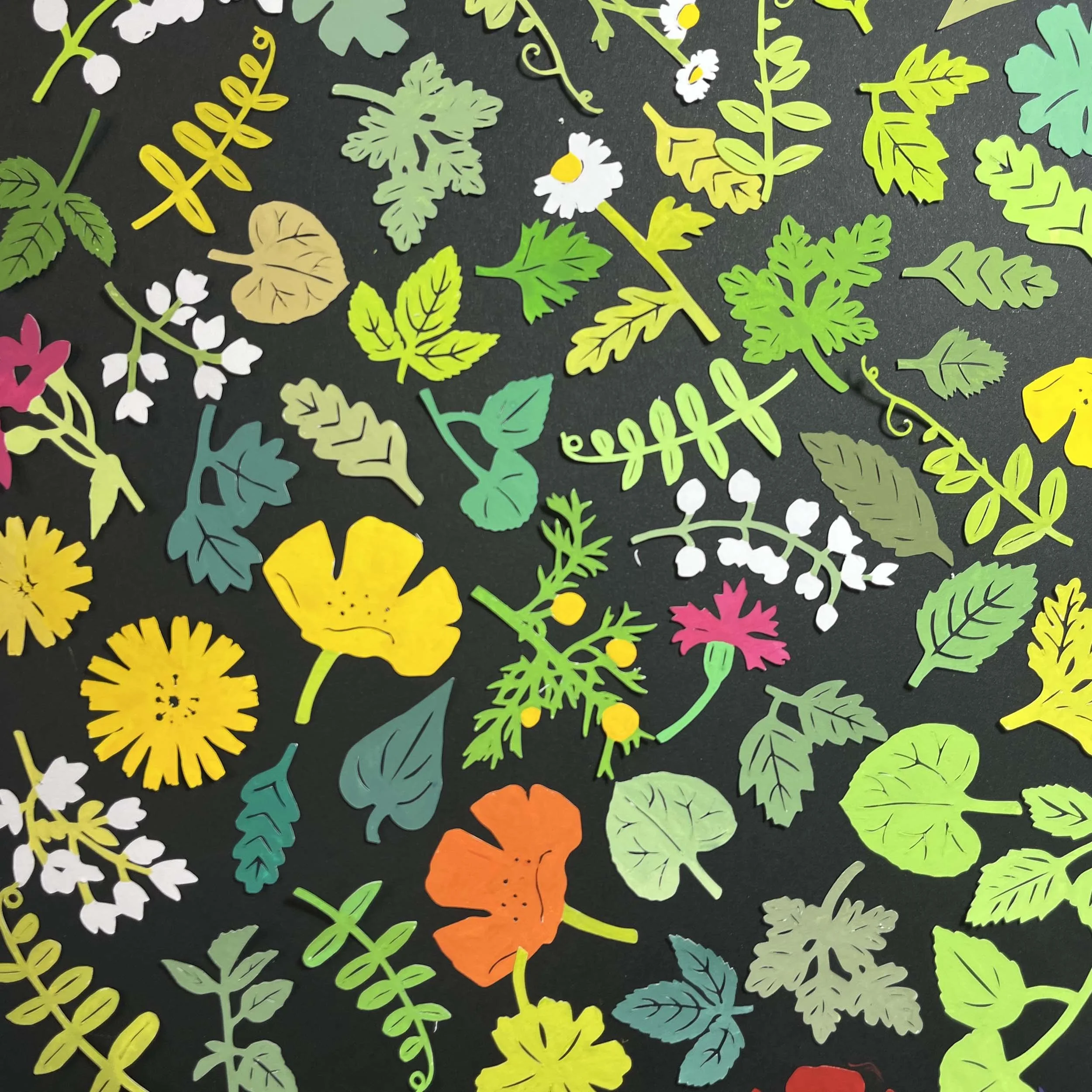 Workshops — Sarah Morpeth Artist