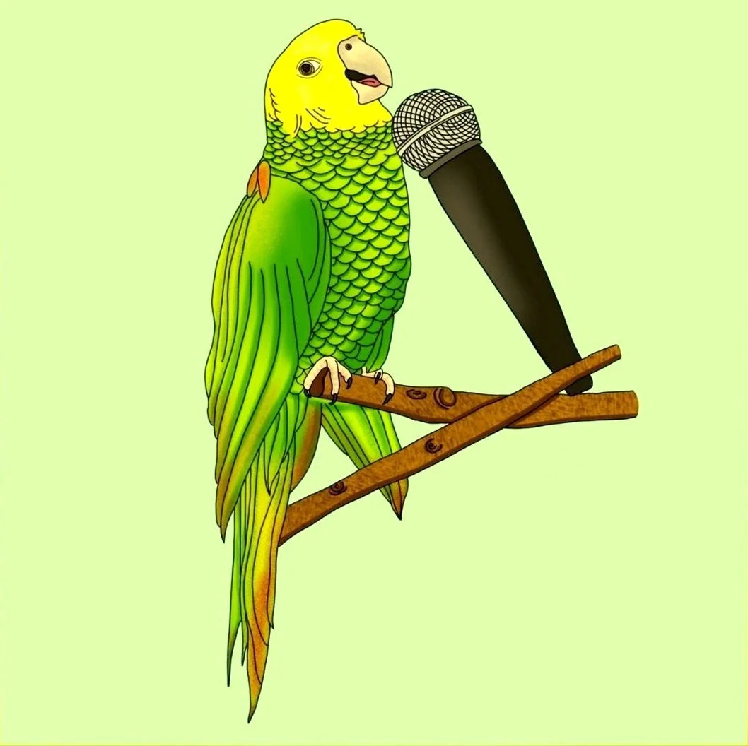 VIDUSHAKA/ENTERTAINER — Vedic Psychology Institute
