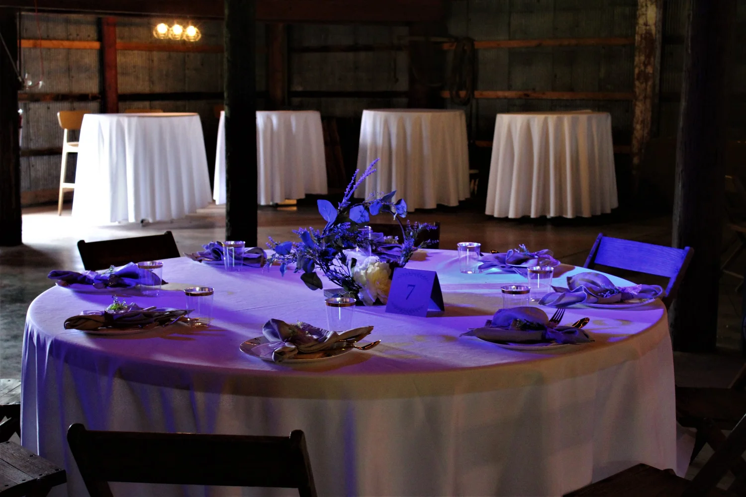 Gallery — Double A Ranch