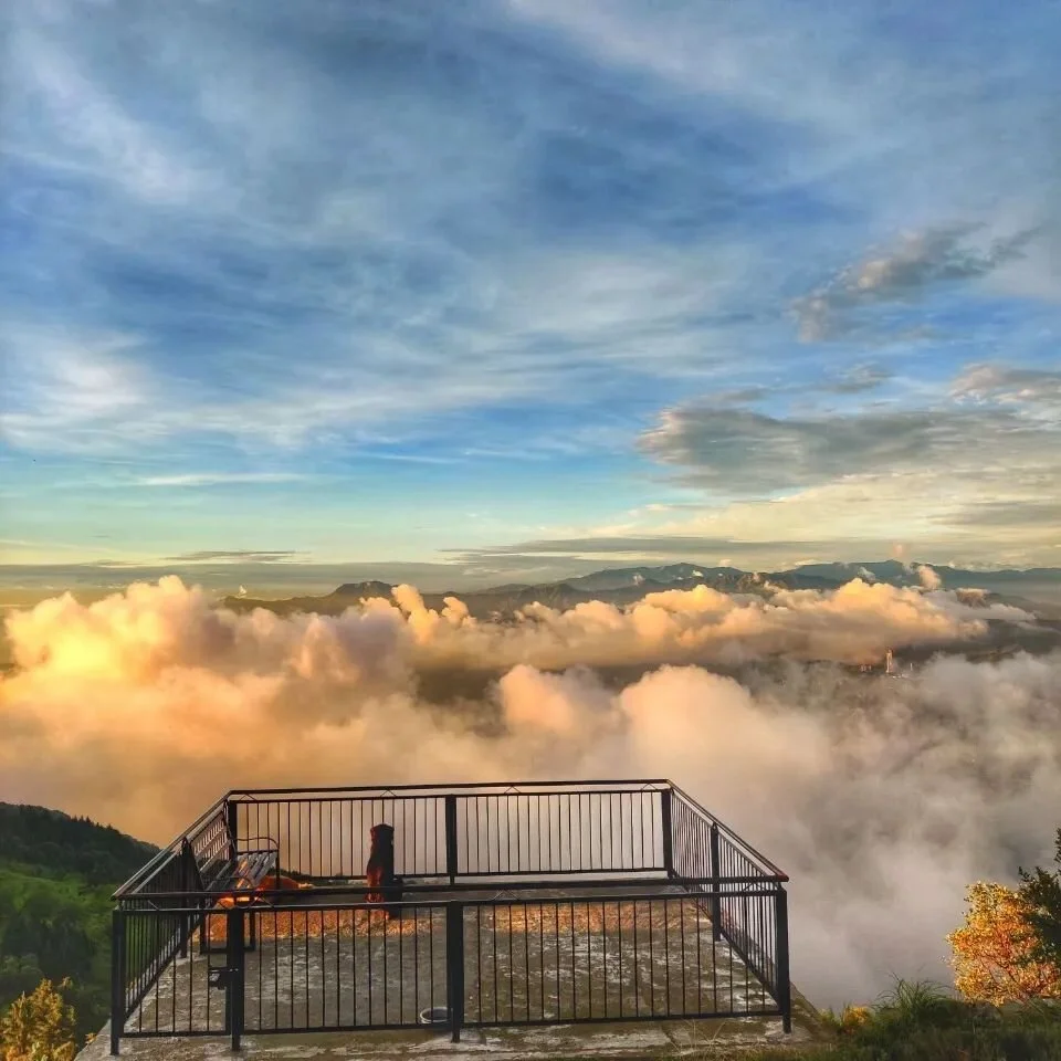Vaatalya Community Retreat | Dream, Connect, Learn & Inspire