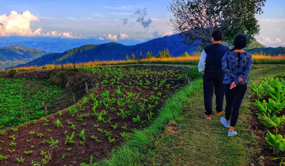 Quietcation - Silent travel for deep rest — Vaatalya.com