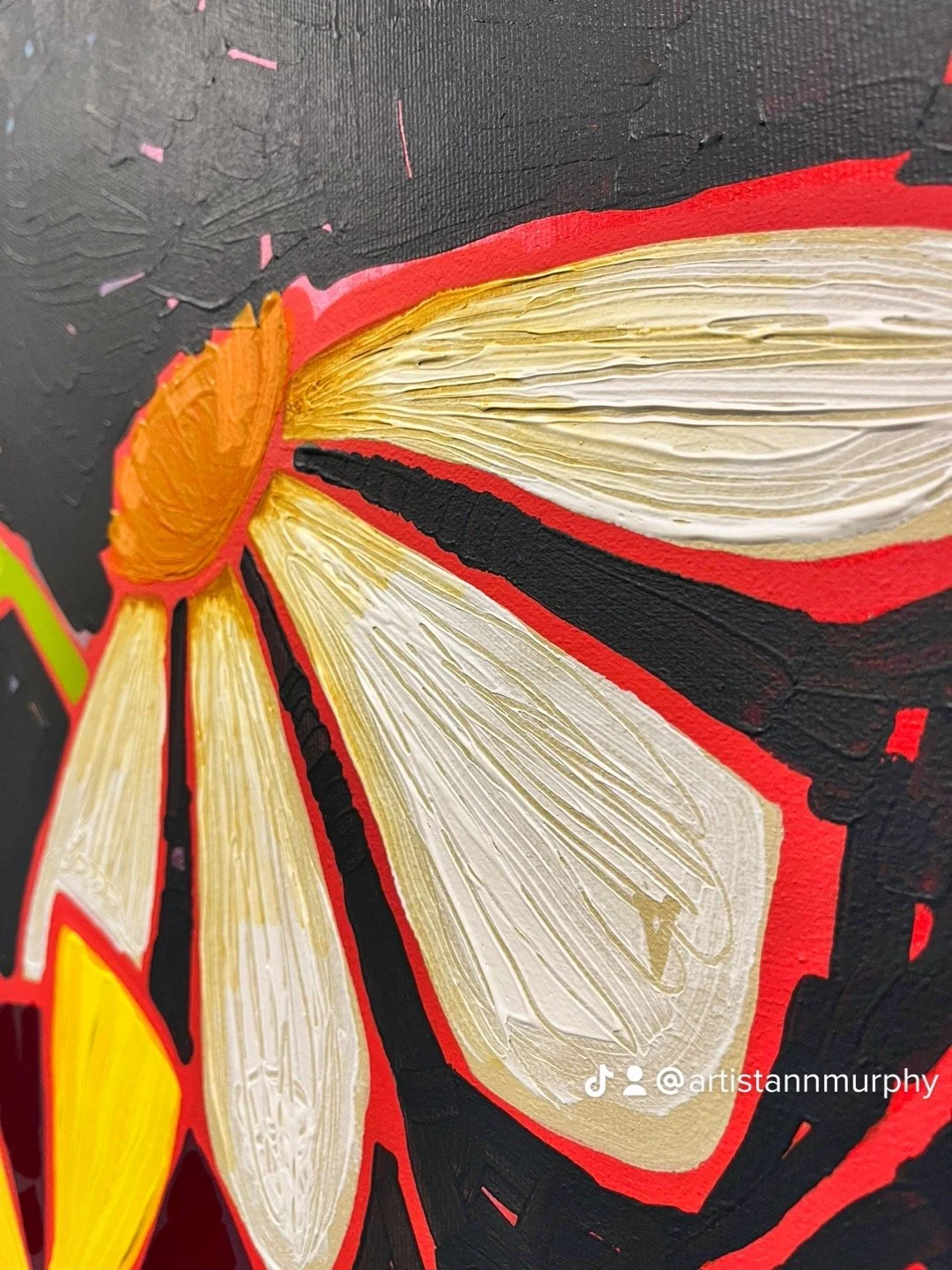 Ann Murphy | Multidisciplinary artist