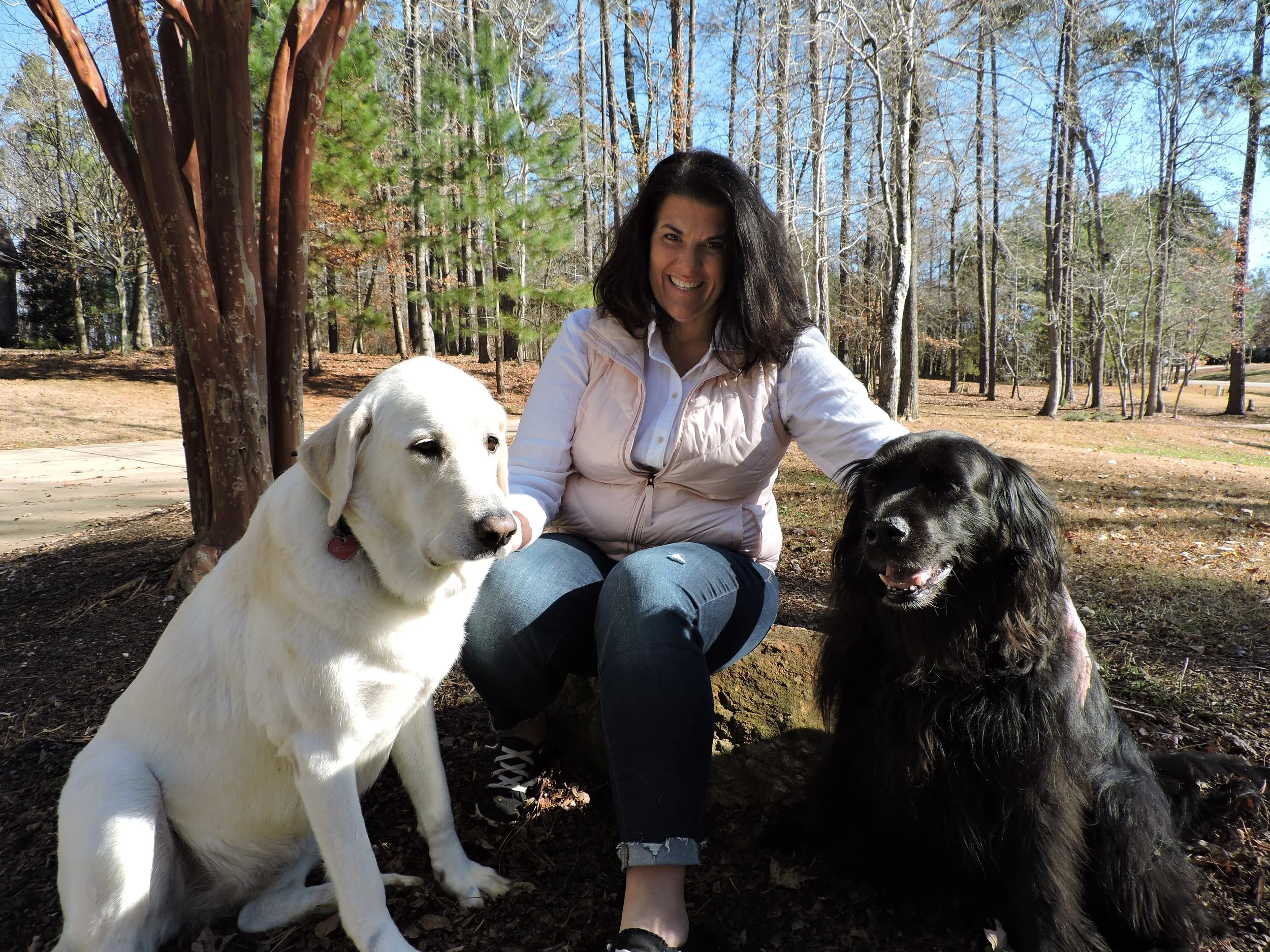 Involvement — Michelle Antoine for Johnston County Board of Education