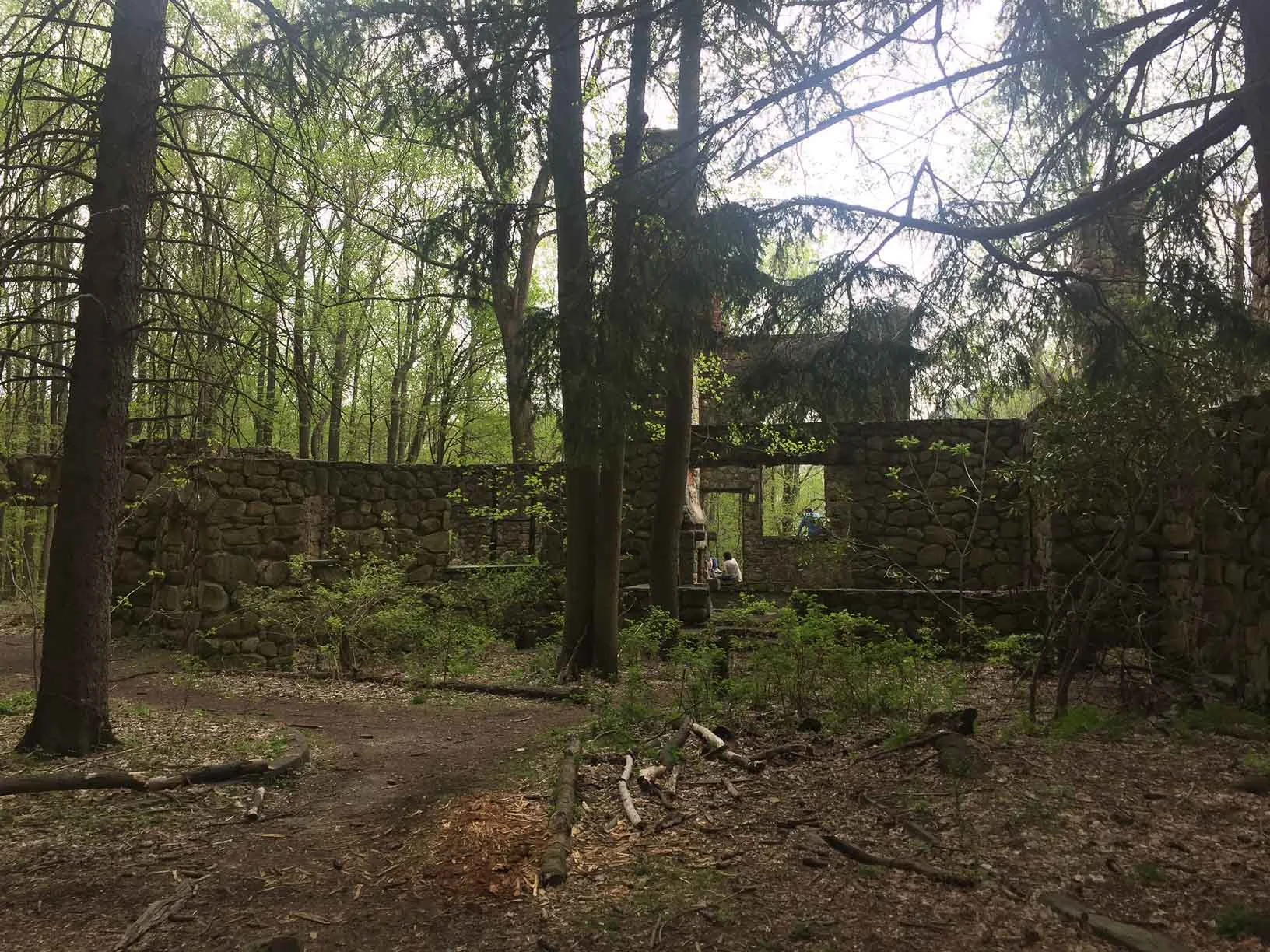 Cold Spring Hike: The Cornish Estate Trail — Explorenza™ — Explorenza™