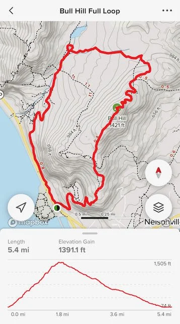 Cold Spring Hike: The Cornish Estate Trail — Explorenza™ — Explorenza®