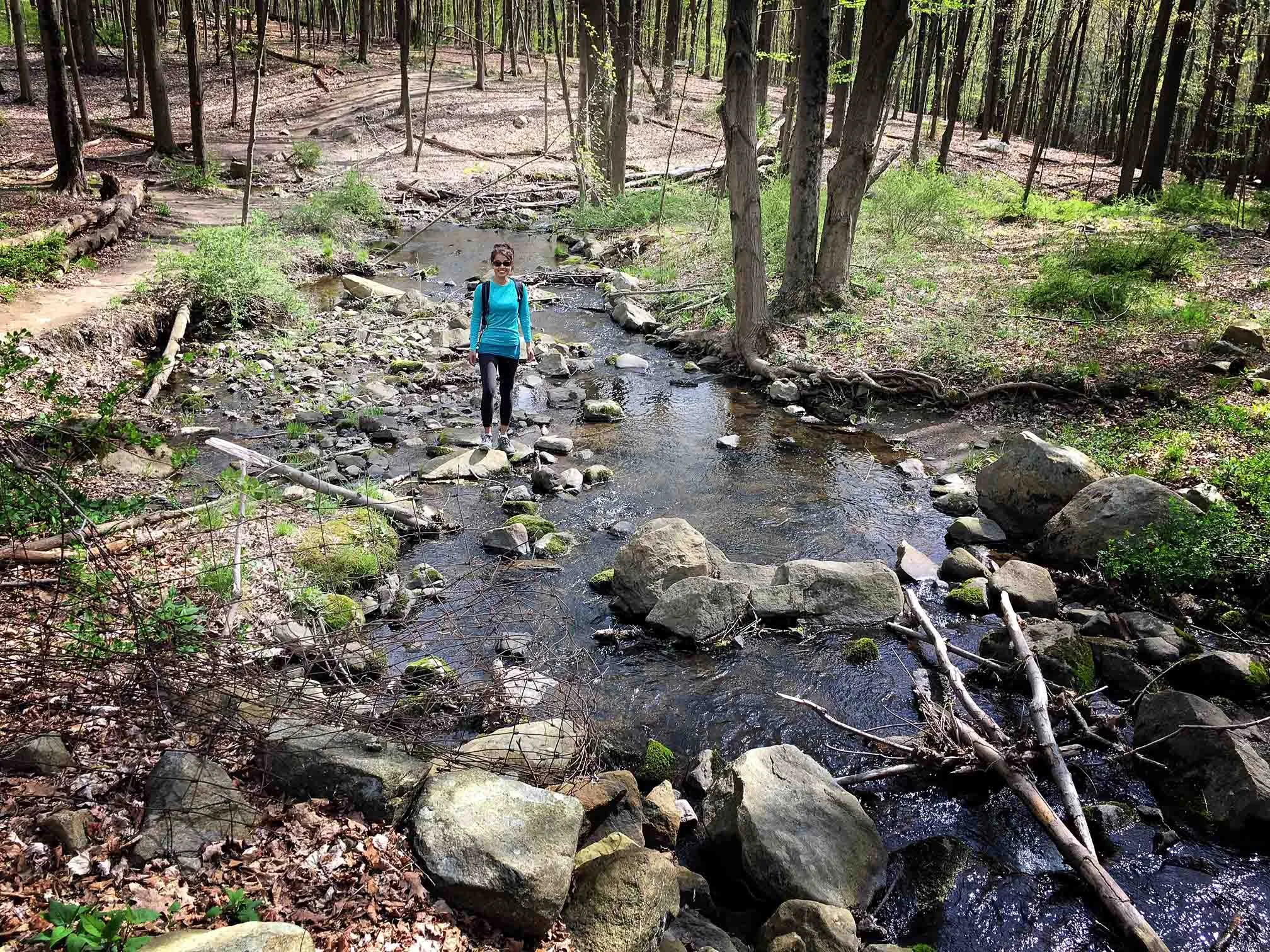 Cold Spring Hike: The Cornish Estate Trail — Explorenza™ — Explorenza®