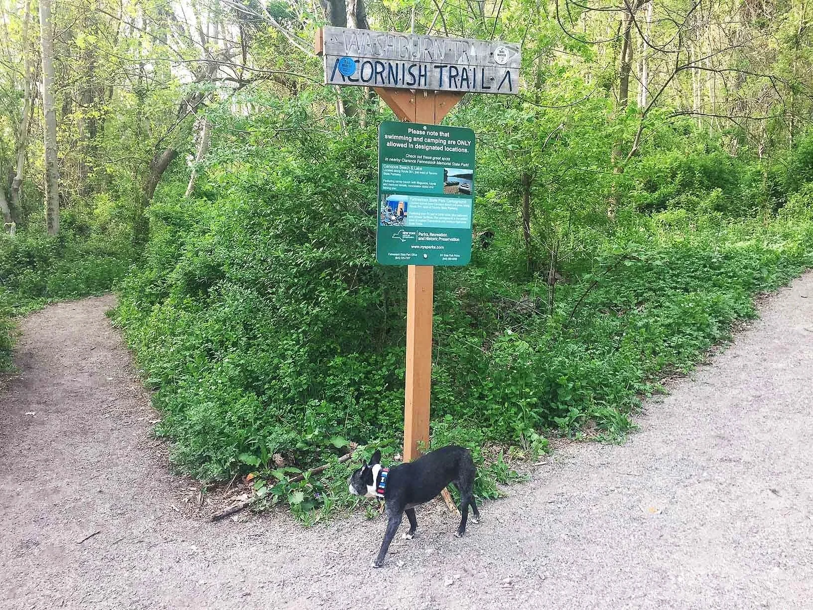 Cold Spring Hike: The Cornish Estate Trail — Explorenza™ — Explorenza®