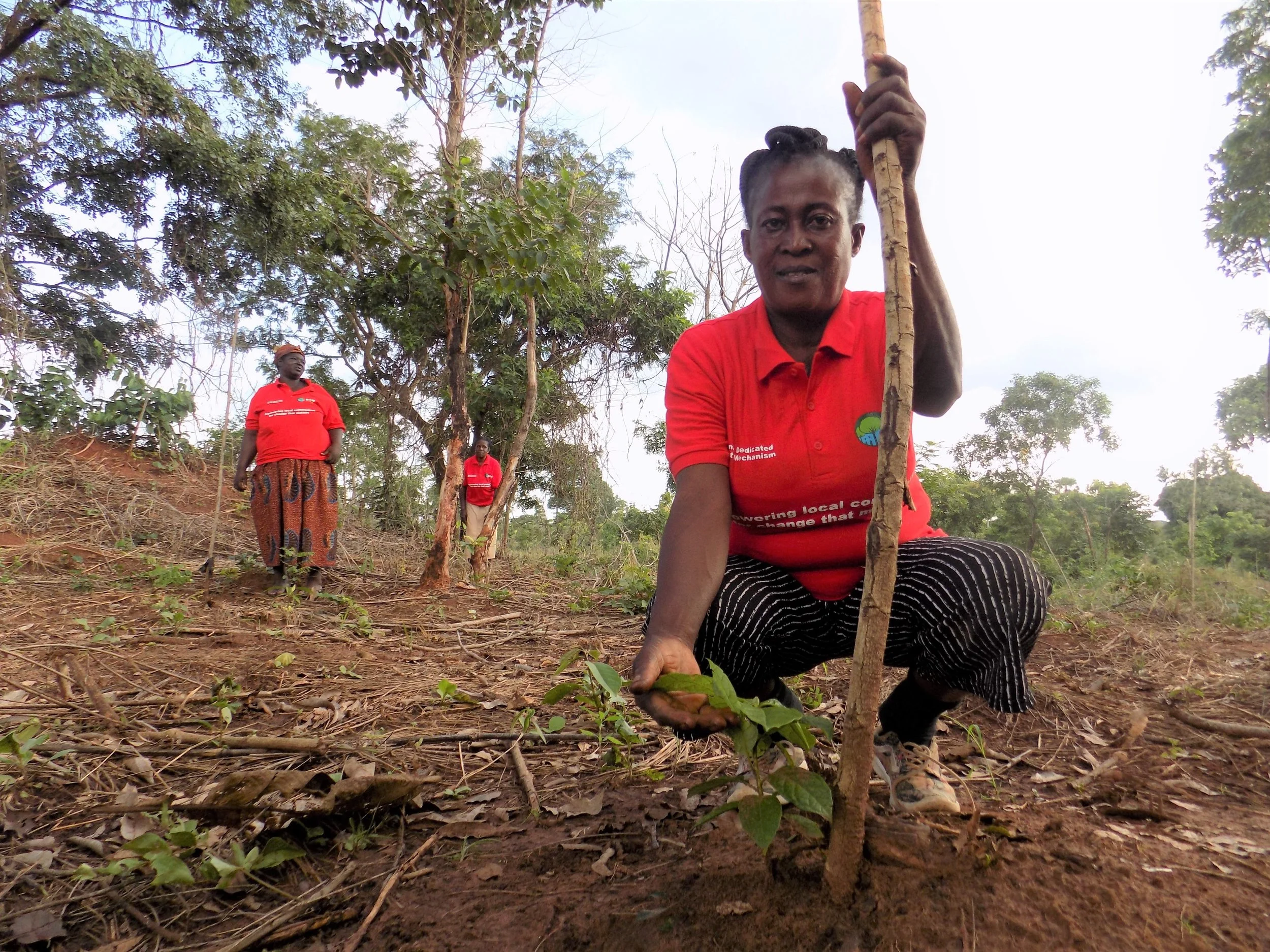 DGM Annual Report 2022 - Português