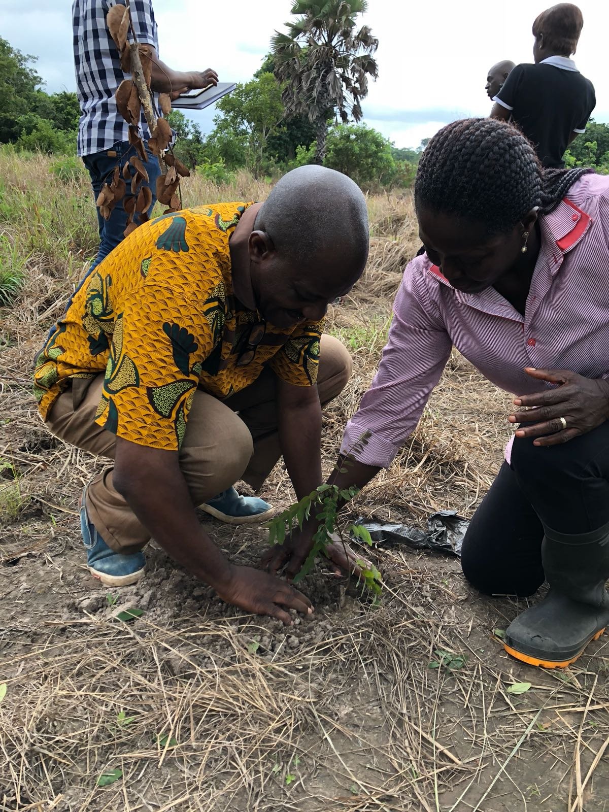 Newly Approved Projects — DGM Annual Report 2022 - Português