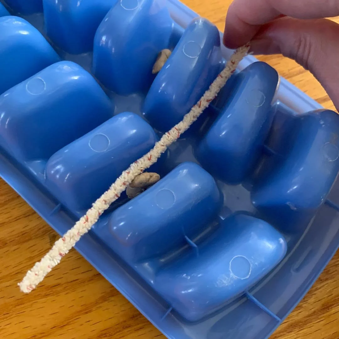 Flossing Game for Kids — Tilton's Therapy for Tots