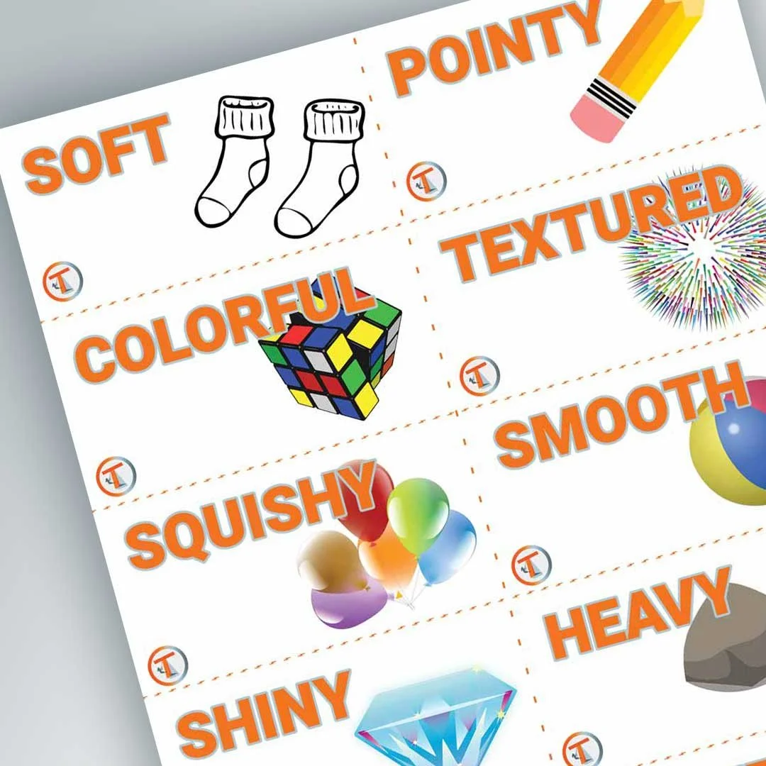 Sensory Sensation Sorting Game — Tilton's Therapy for Tots