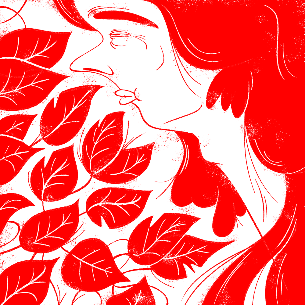 Mike Geiger - Animation Artist, Creator & Director