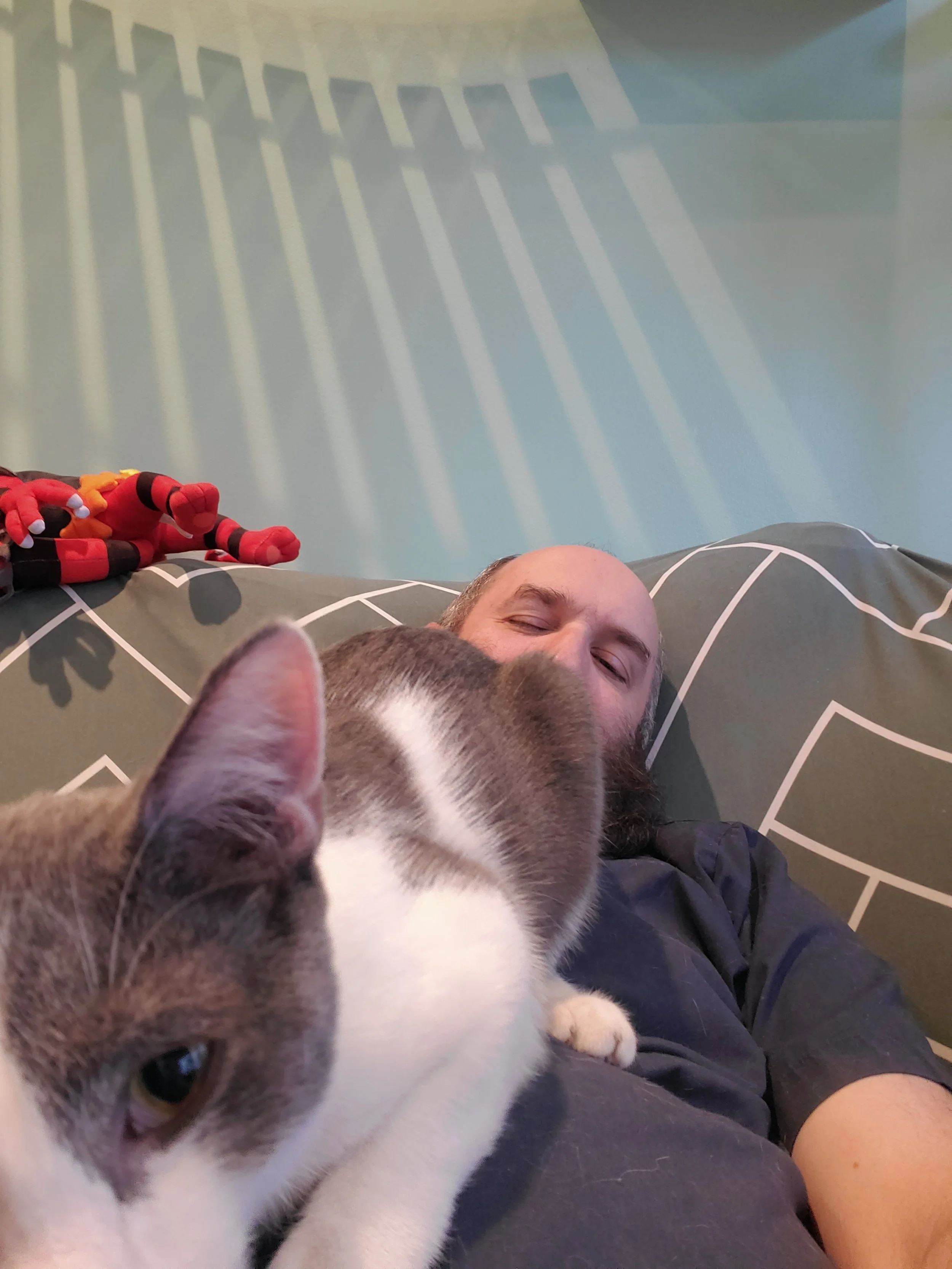 Health & Safety — The Pawsitive Cafe