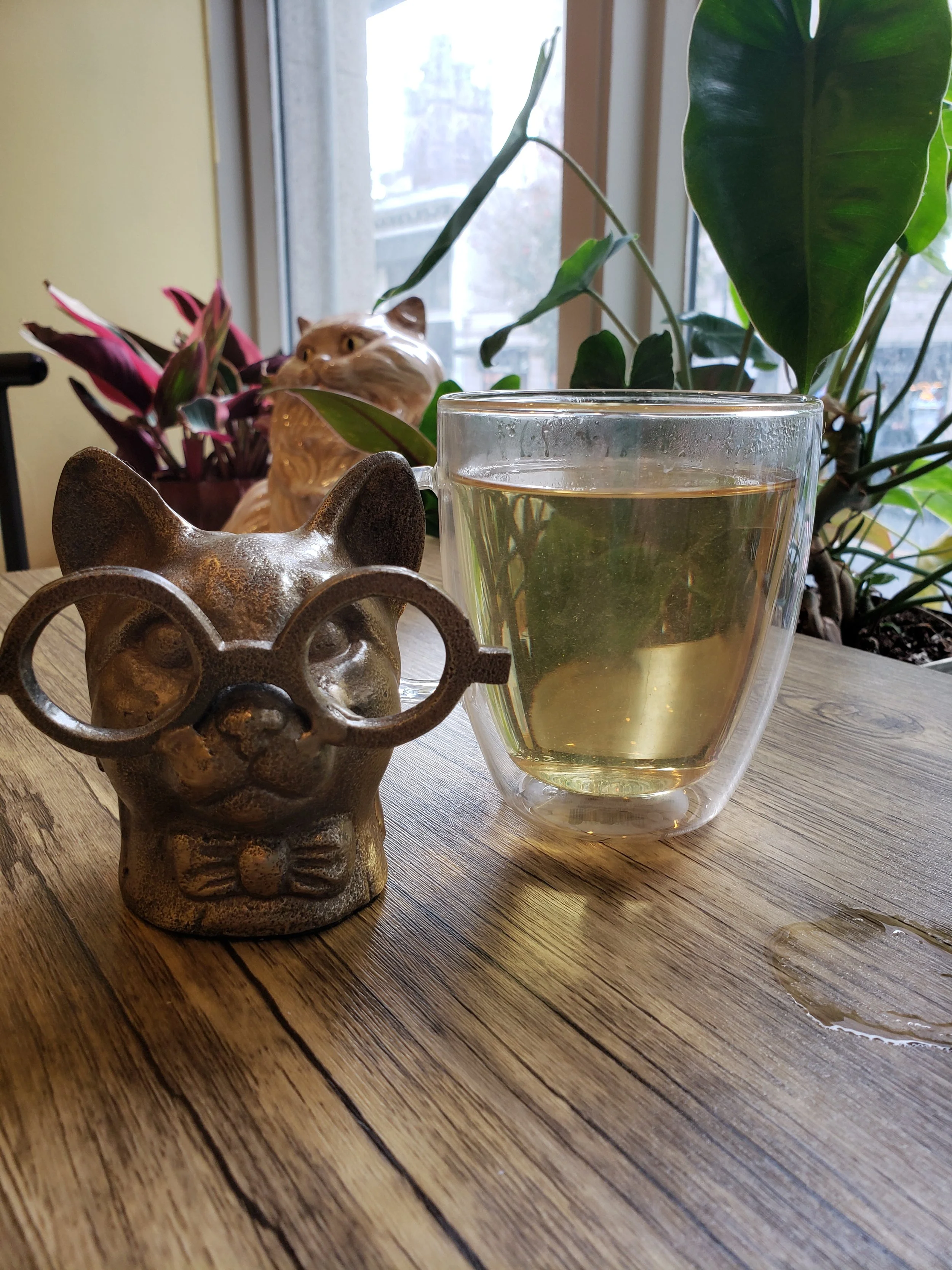 Cafe Offerings — The Pawsitive Cafe